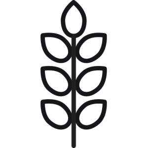 Fibres | Integral Food Ingredients